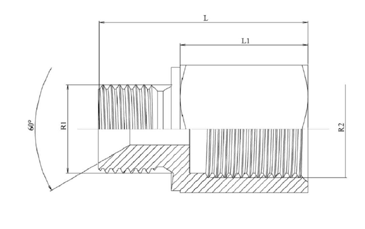 INTERMEDIATE MALE – FEMALE EQUAL BSP FITTING (60°) - aircompressormpc